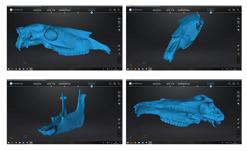EinScan Software - download for S and Pro Series | EinScan