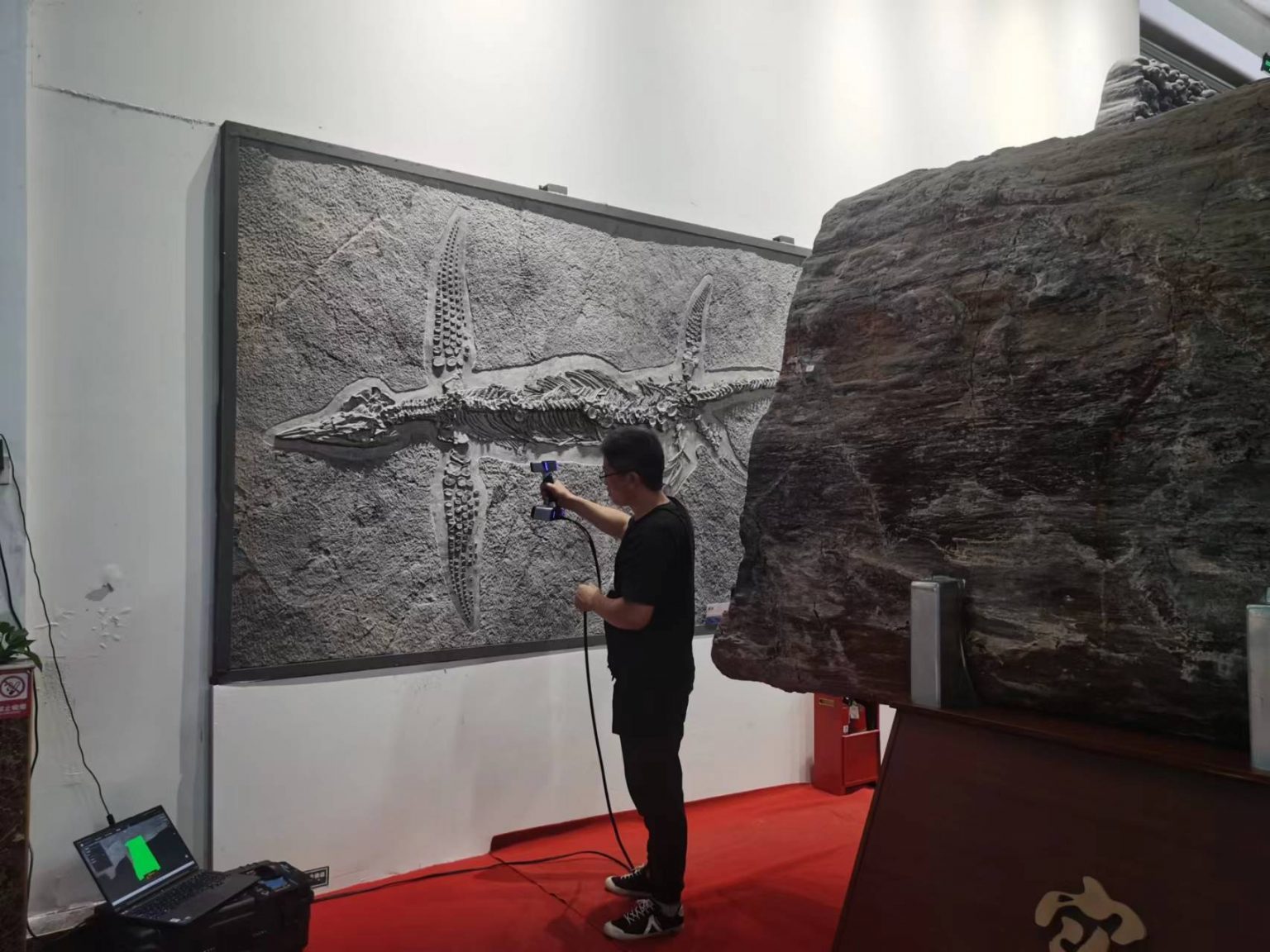 3D Digitization of Fossils: Prehistoric Dinosaurs Meet Face-to-face ...