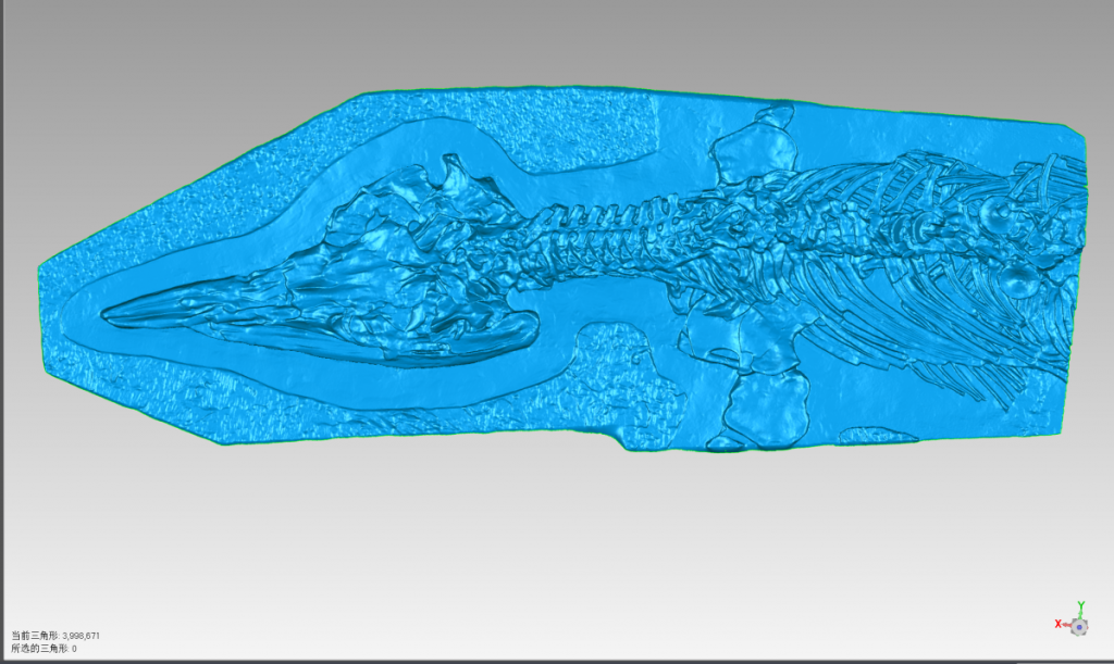 Escaneo 3D de fósiles: El escáner 3D EinScan HX muestra en detalle los ...